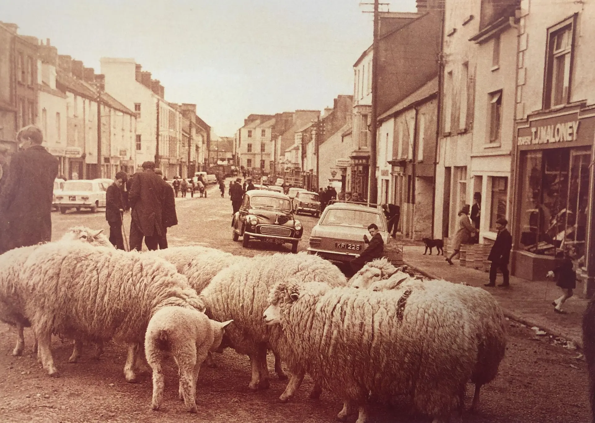 North Clare Historical Society | thecourthousegallery